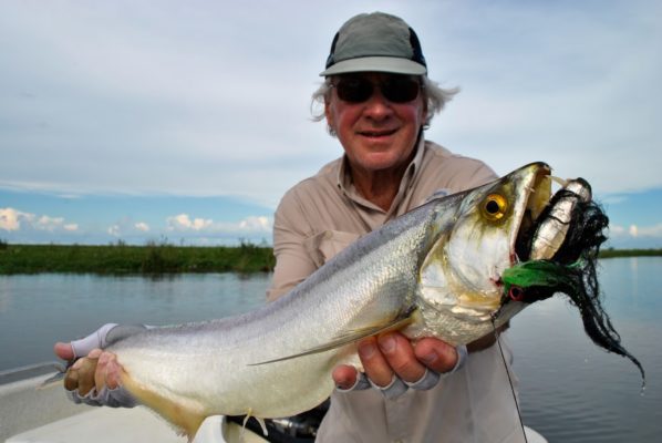 Argentina Golden Dorado Fishing – Got Fishing