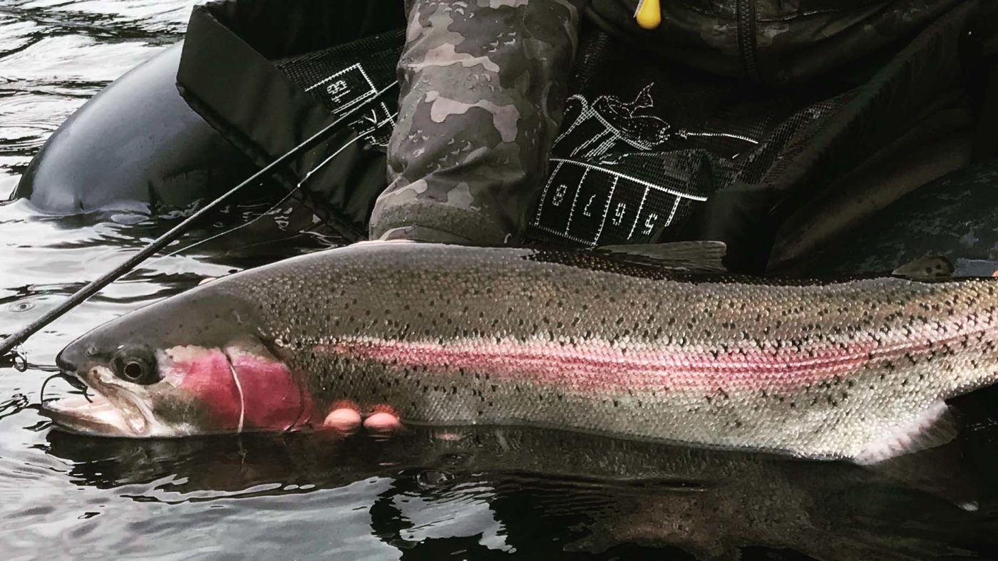 Kenai River Fly Fishing Guides – Got Fishing